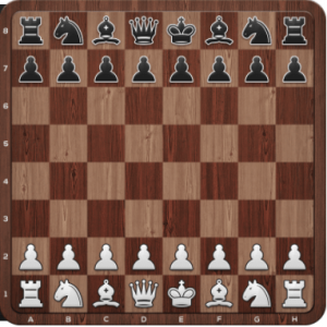 Ustawienie na szachownicy - Jak grać w szachy?